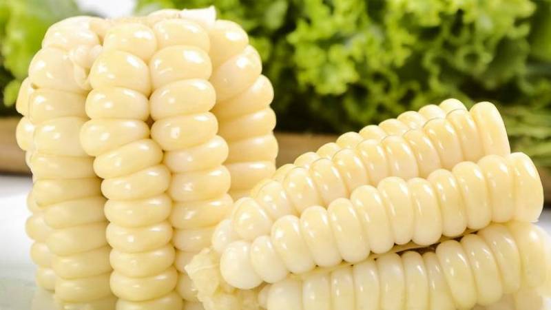 What Did The Incas Eat? The Inca Diet - Journey Machu Picchu