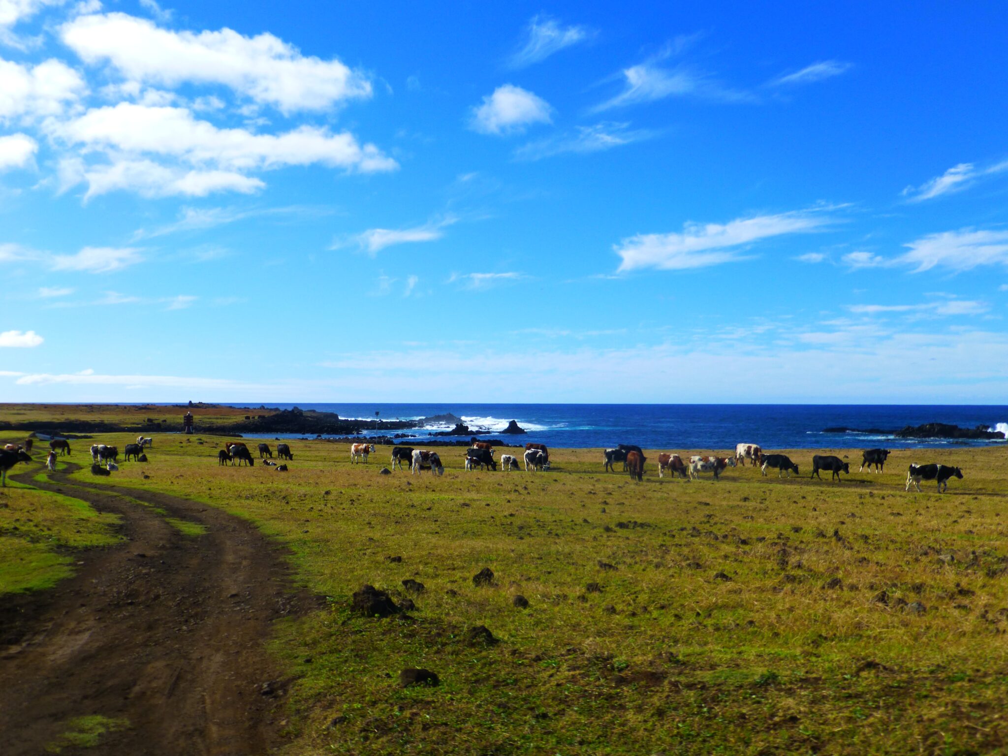Chile 7 Day Easter Island Tour Package - Journey Machu Picchu